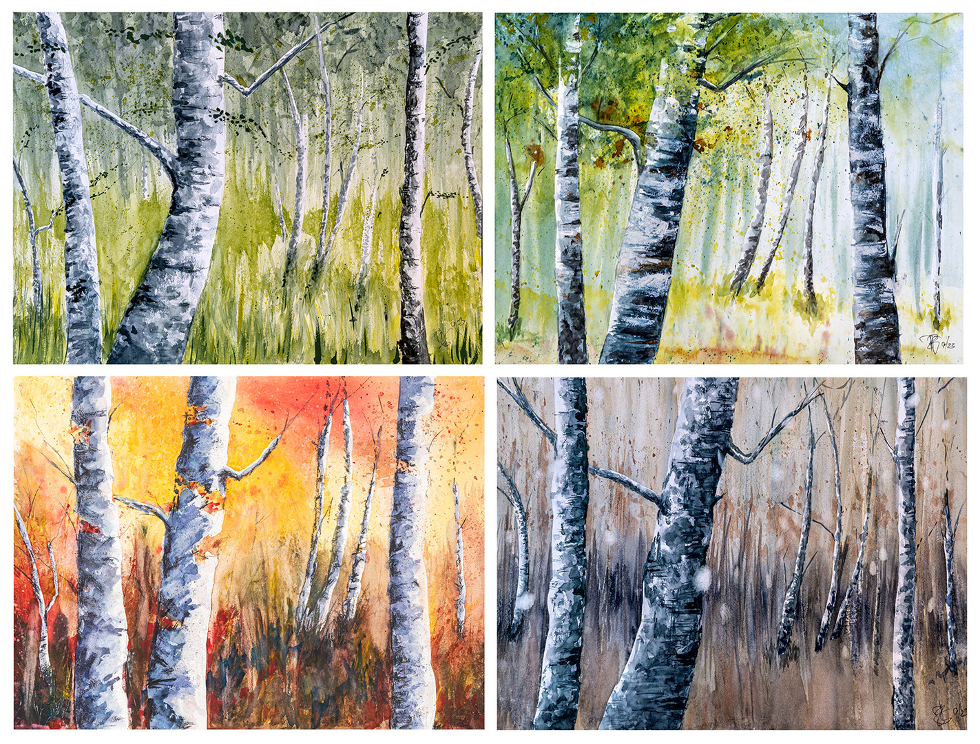 Birken im Jahreszyklus Foto & Bild | abstraktes, kunstfotografie ...