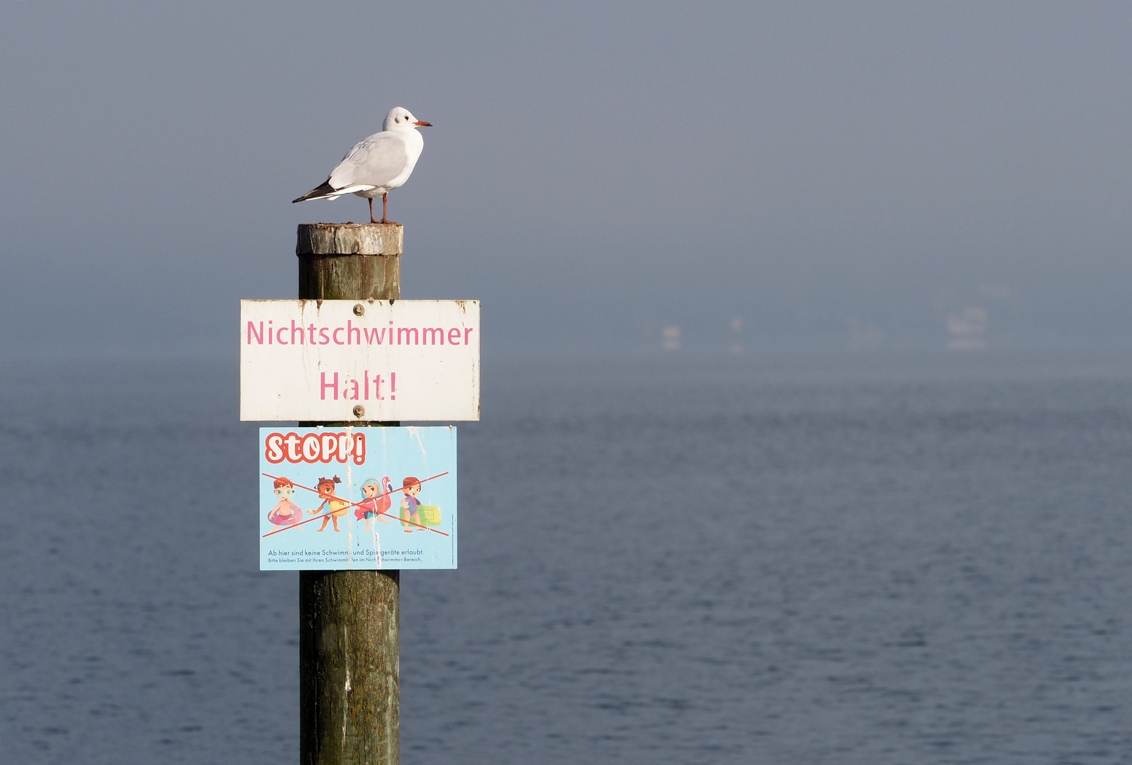 Bis Hierher Und Nicht Weiter Foto And Bild Projekte Thementage 2 Dienstag Tierisch Gut