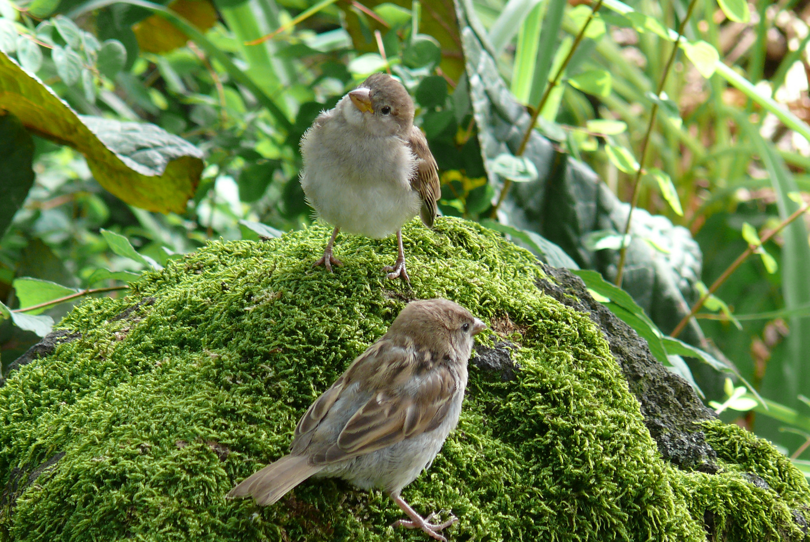 "Bist Du endlich fertig?". - So hab ich seinen Blick interpretiert ...