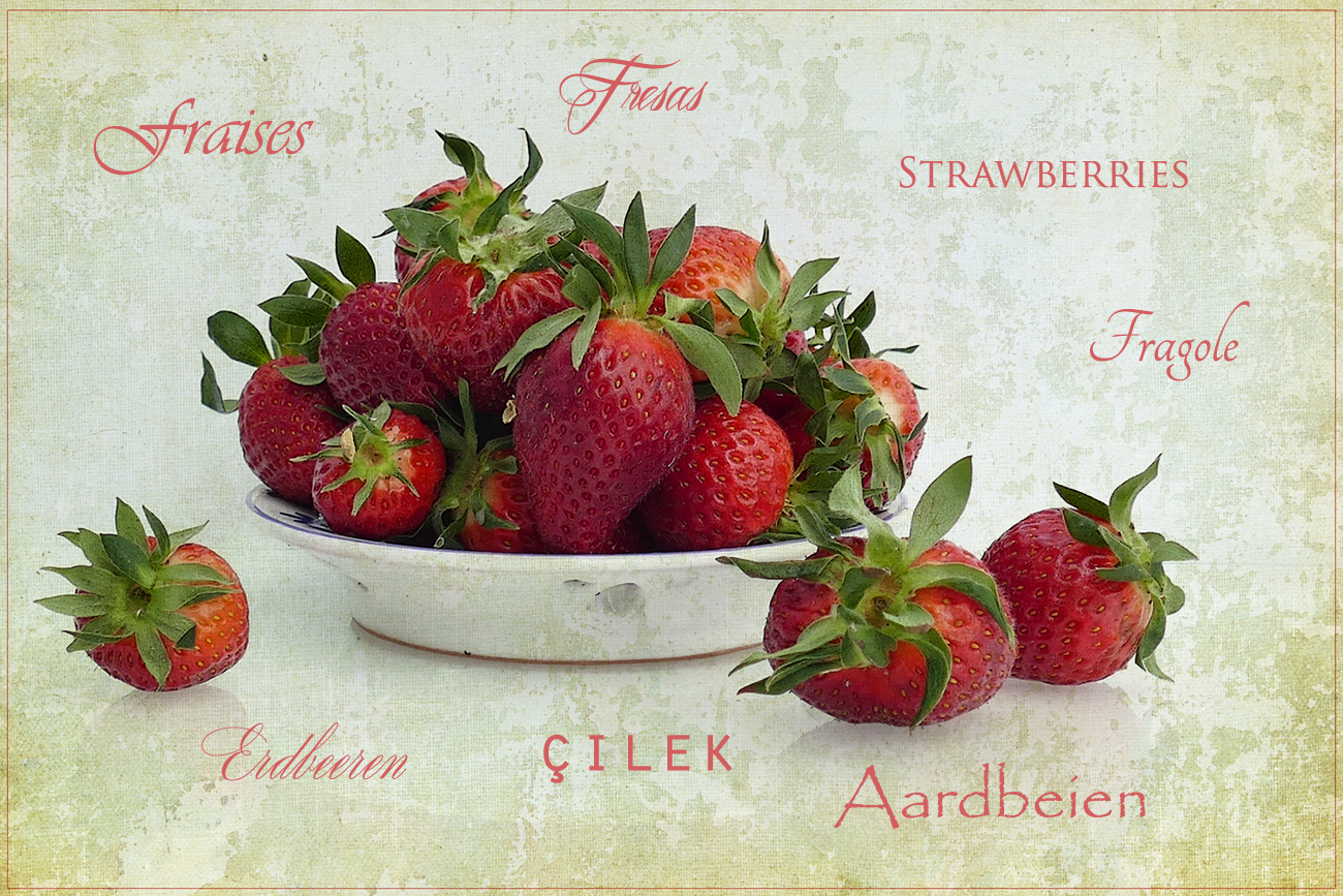 BITTE BEDIENT EUCH Foto & Bild | composing, stillleben, digiart Bilder ...