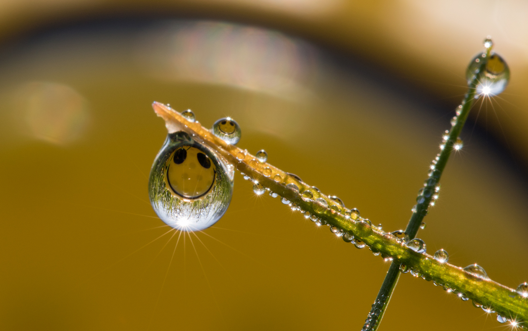 Bitte lächeln Foto & Bild | sonstiges, wasser im detail, spiegelungen ...
