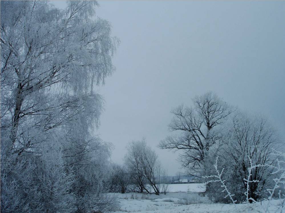 Bitterkalt Foto & Bild | jahreszeiten, winter, natur Bilder auf fotocommunity