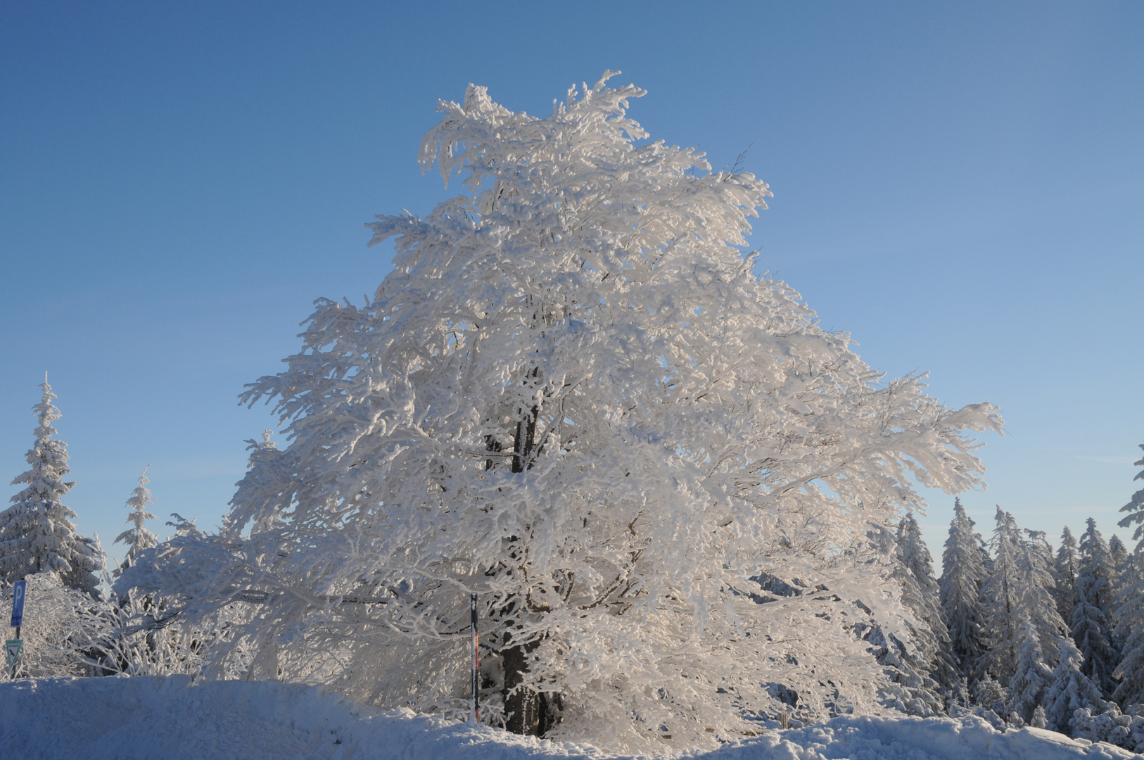 Bitterkalt Foto & Bild | jahreszeiten, winter, natur und landschaft Bilder auf fotocommunity
