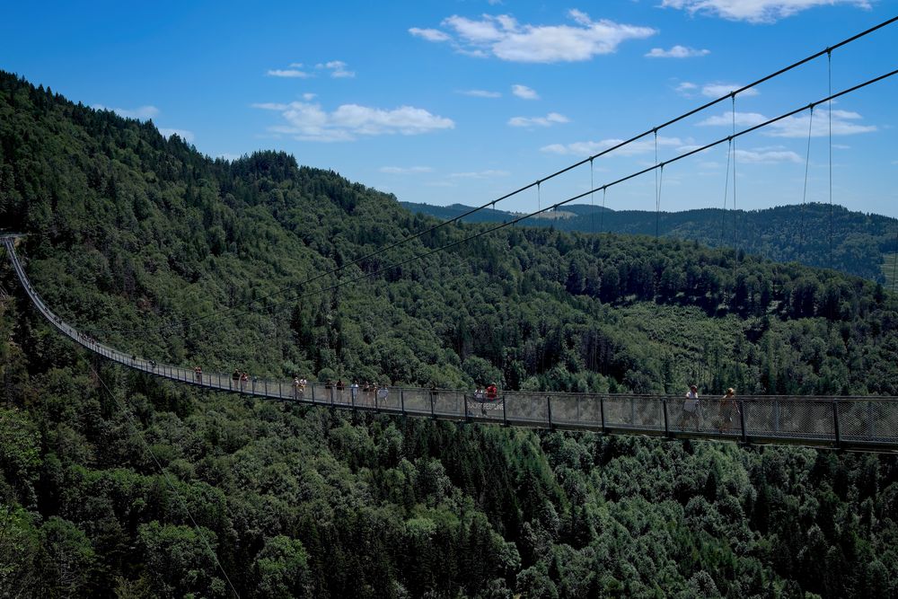 Black Forest Line Foto & Bild | world, natur, architektur Bilder auf ...