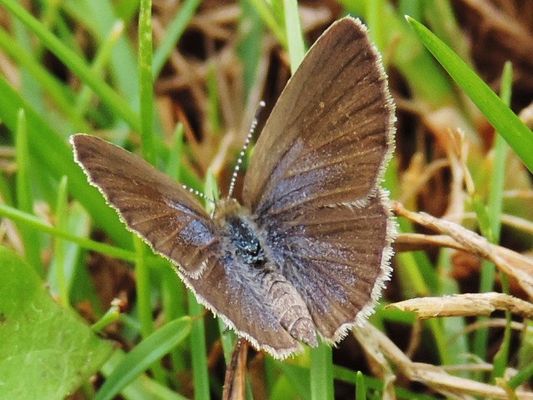 Mooru - Fotos & Bilder - Fotografin aus Rosenheim, Deutschland ...