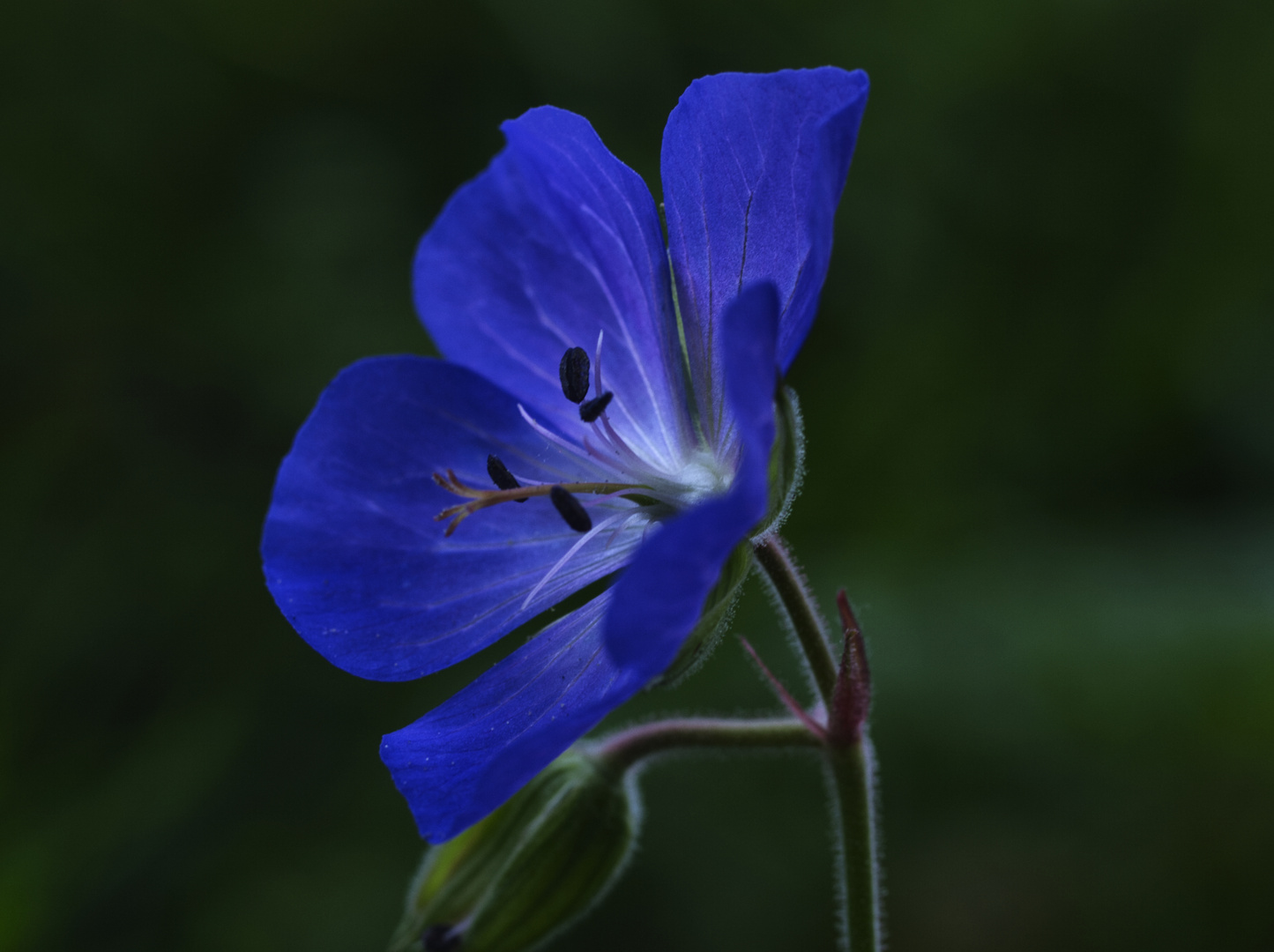 blau Foto & Bild | art, spezial, outdoor Bilder auf fotocommunity