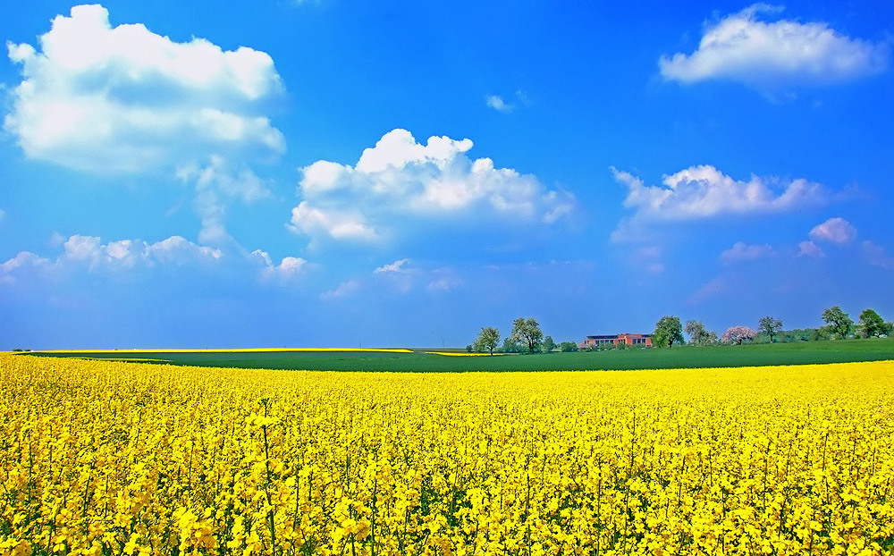 Blau-gelb Foto & Bild | deutschland, europe, saarland Bilder auf ...