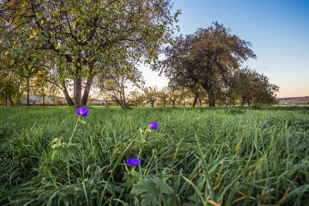 blaue... Foto & Bild | landschaft, jahreszeiten, herbst Bilder auf fotocommunity