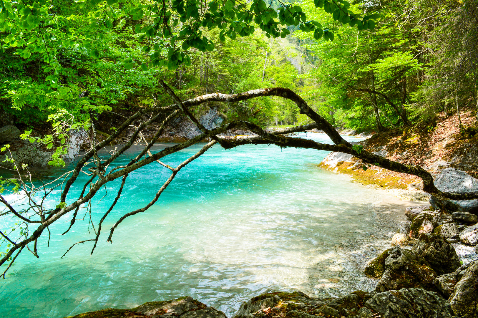 Blaue Lagune? Foto & Bild | landschaft, bach, fluss & see, bachläufe ...