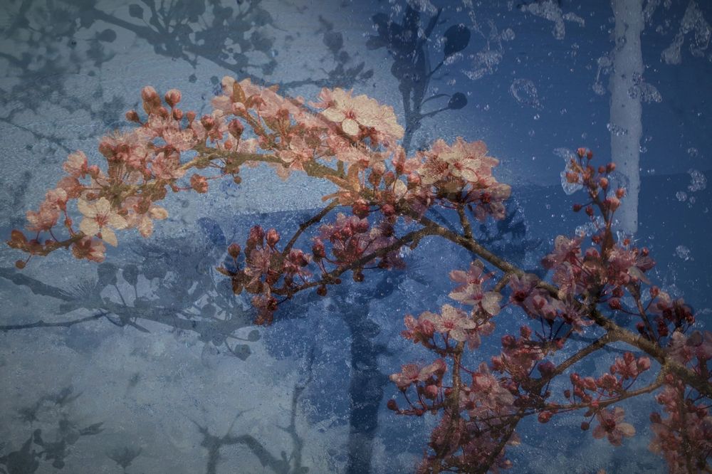 blaue stunde... Foto & Bild | fotokunst, bearbeitungs - techniken, filtertechniken Bilder auf ...