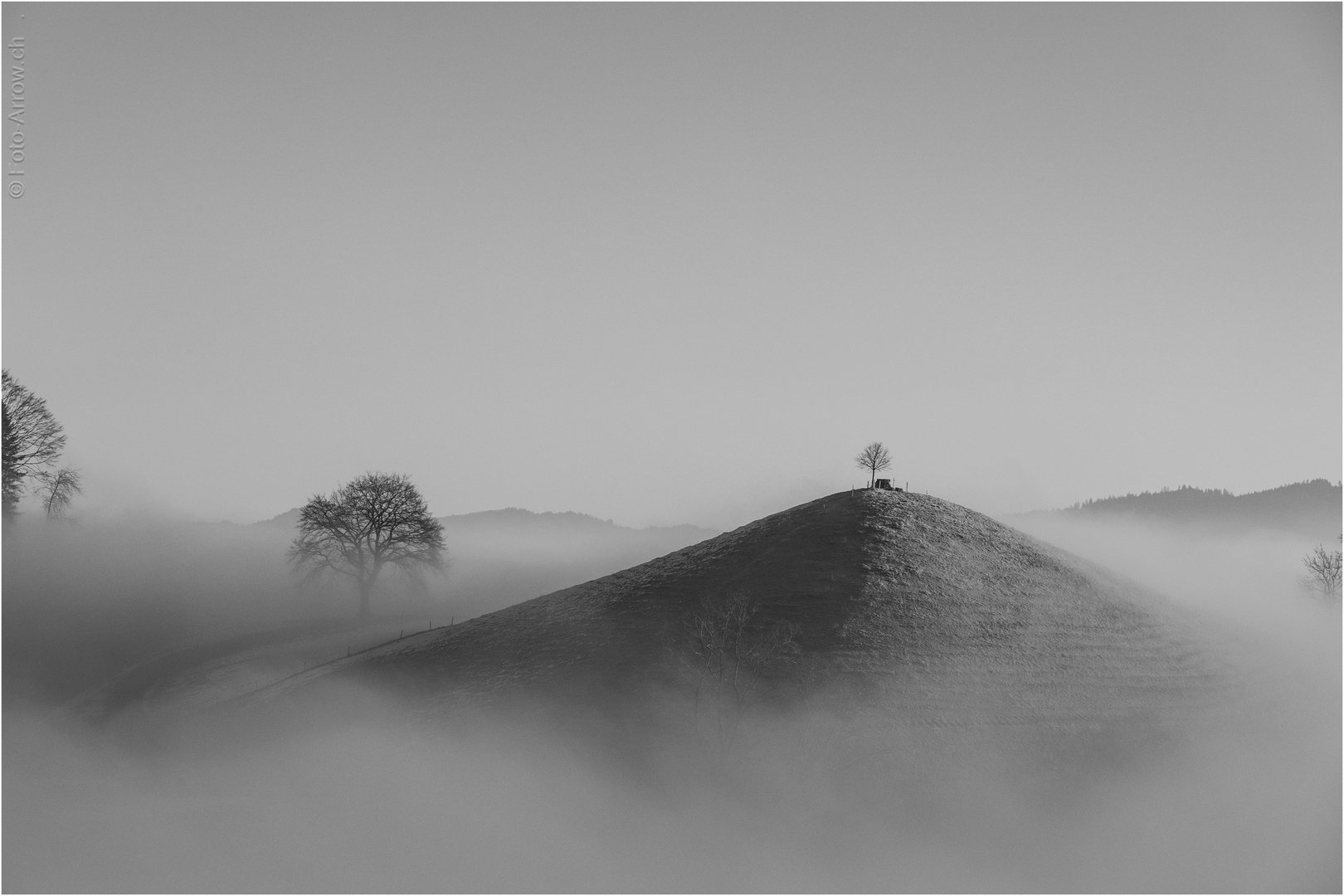 blaue Stunde in SW Foto & Bild | kalt, sonnenaufgang, baum Bilder auf ...