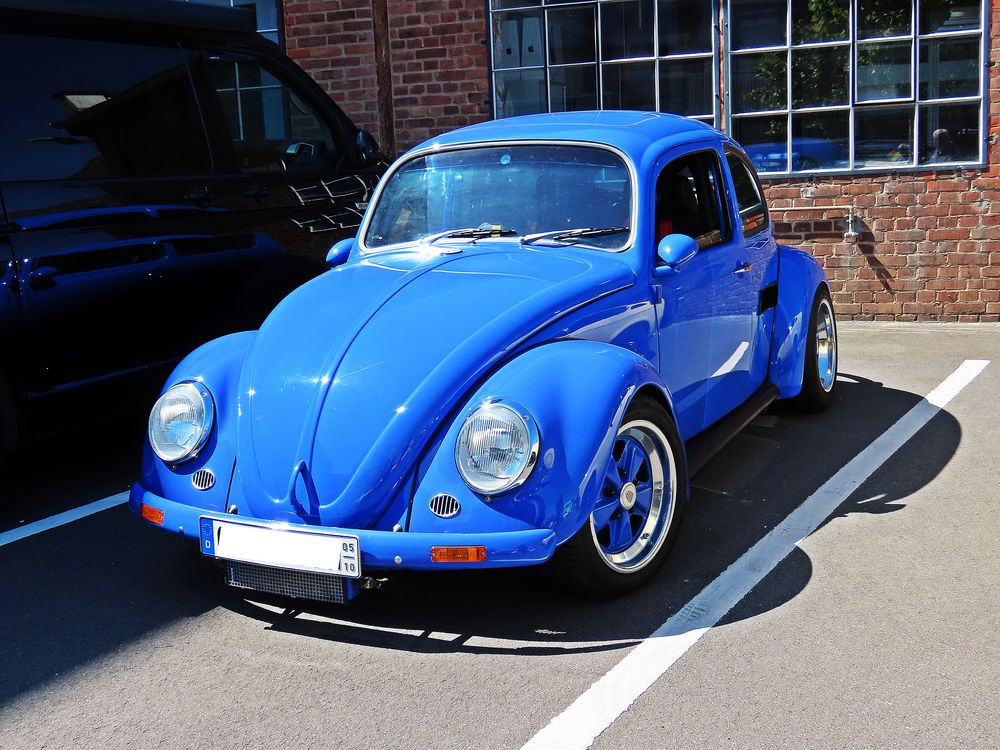 Blauer Käfer für den blauen Montag Foto & Bild | blue, fotos, spezial ...