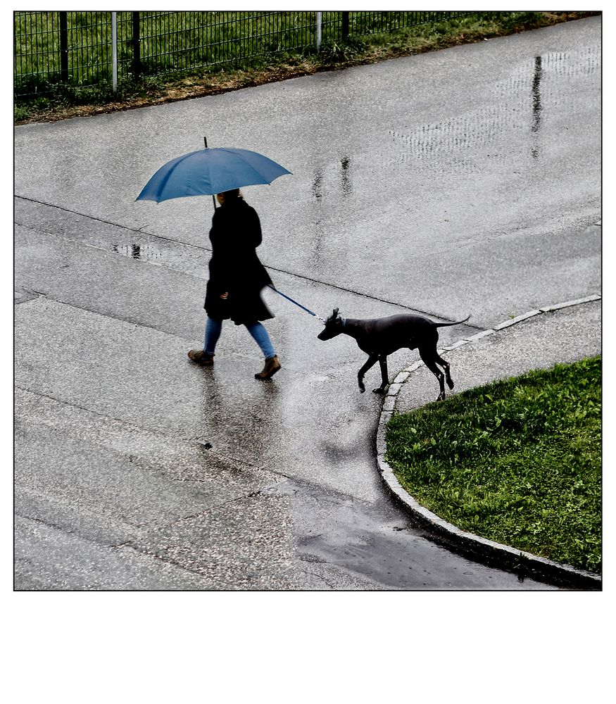 Blauer Montag mit Hund ! Foto & Bild | streetfotografie mit menschen, projekte, 1 - montag ...