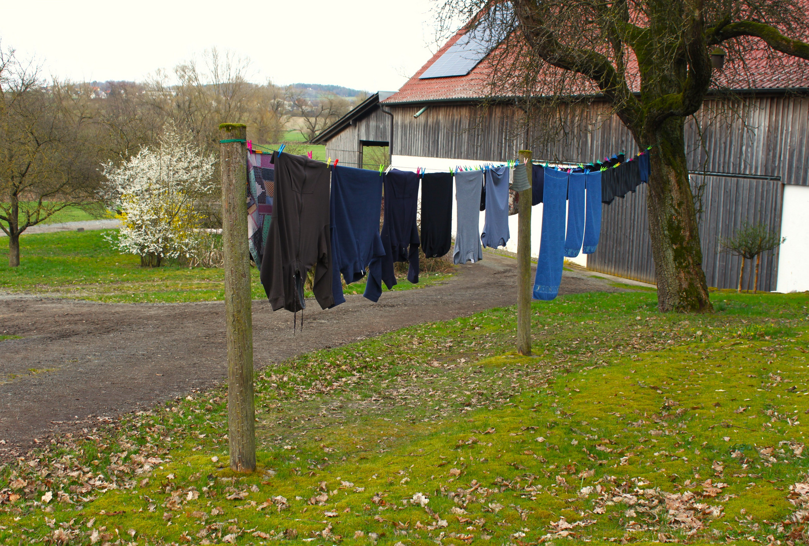 Blauer Waschtag Foto & Bild | stillleben, projekte, zufällige arrangements Bilder auf fotocommunity