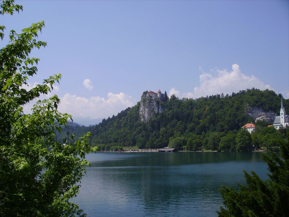 Bleder See mit Burg Foto & Bild | landschaft, bach, fluss & see, see ...