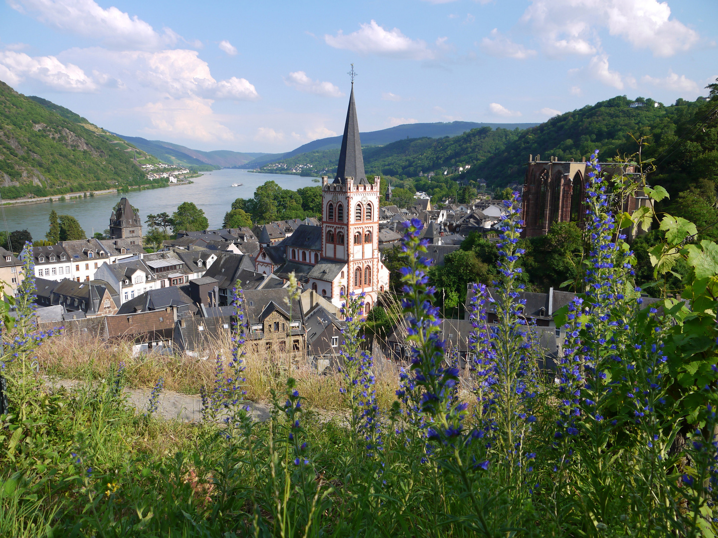Blick auf Bacharach Foto & Bild | deutschland, europe, rheinland-pfalz ...