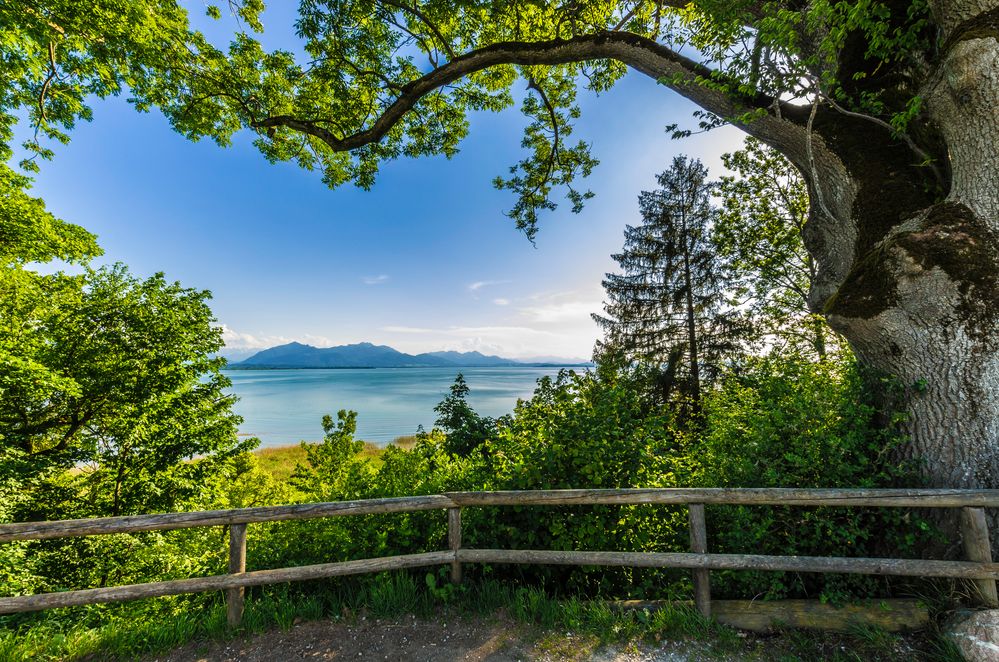 Blick auf Chiemsee Foto & Bild | landschaft, bach, fluss & see, natur Bilder auf fotocommunity