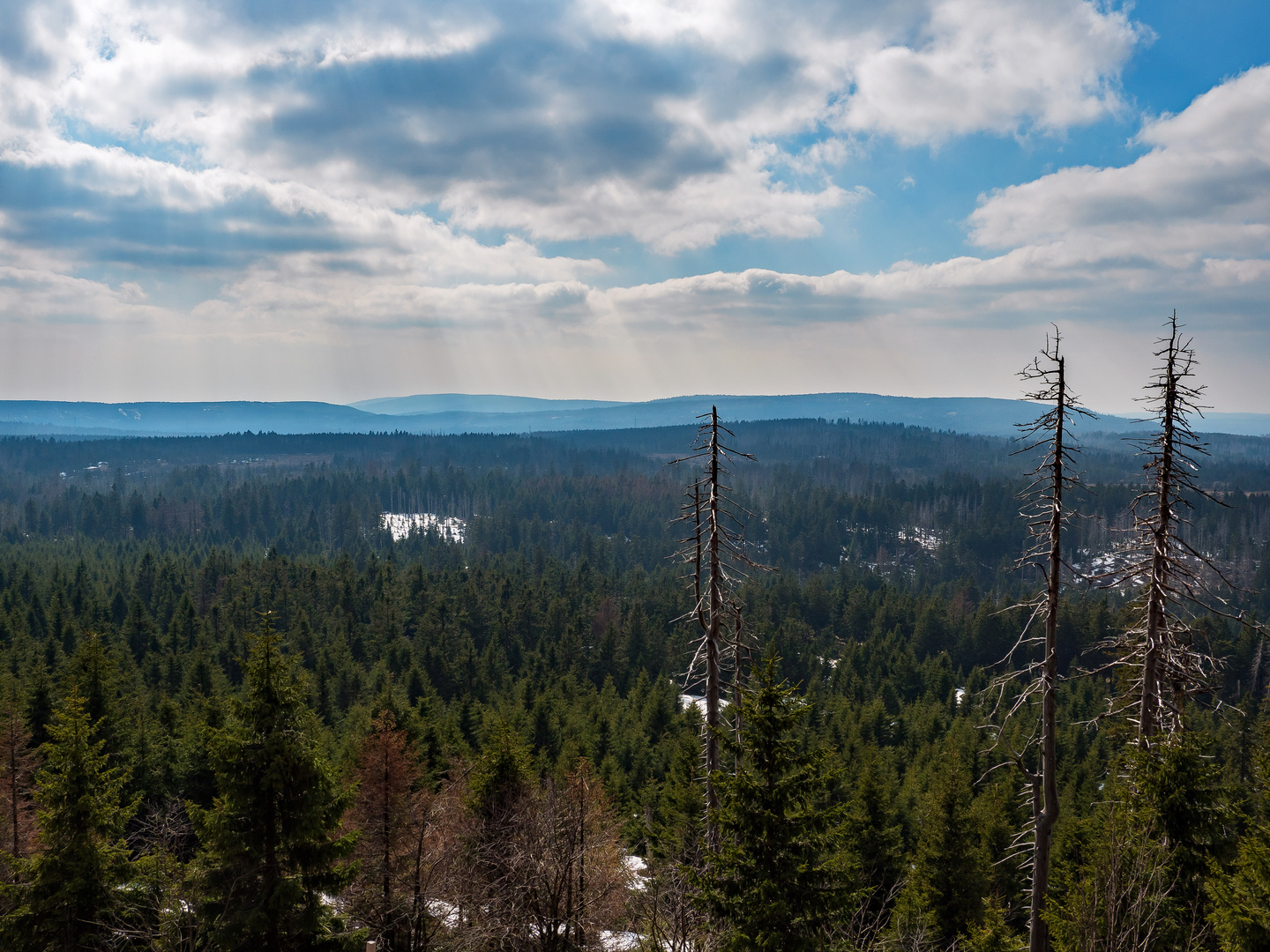 Blick auf den Harz Foto & Bild | landschaft, berge, wald Bilder auf ...