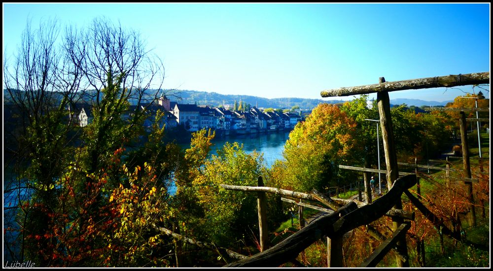 Blick auf den Rhein und die CH Foto & Bild | landschaft, bach, fluss ...