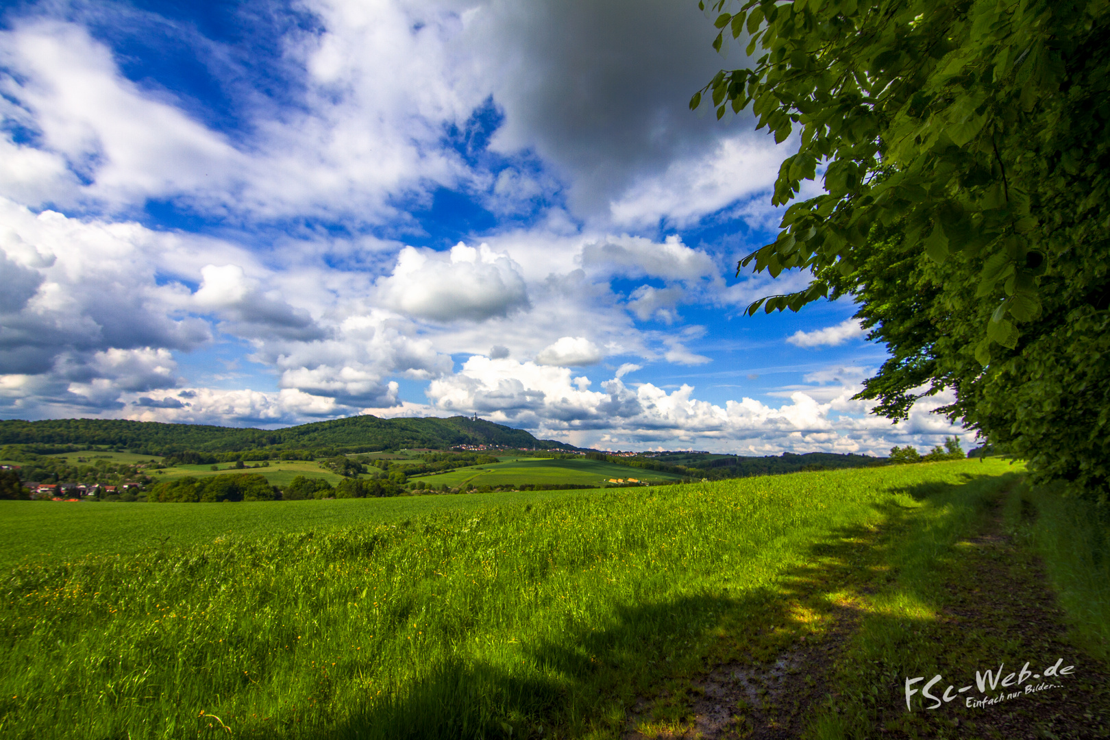 Blick auf den Schaumberg Foto & Bild | landschaft, wiese, tholey Bilder ...