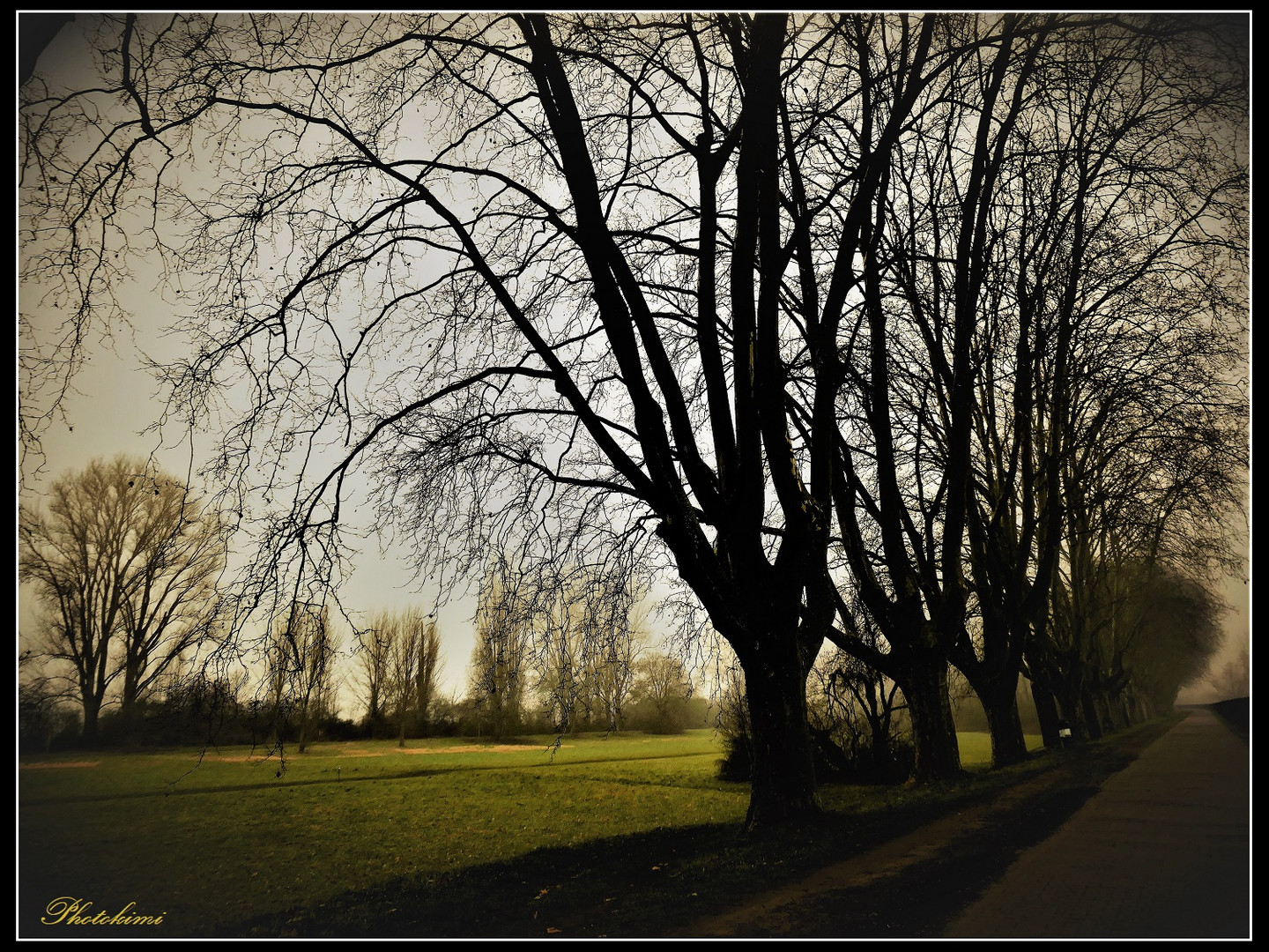 Blick auf die Rheinaue Foto & Bild | pflanzen, pilze & flechten ...