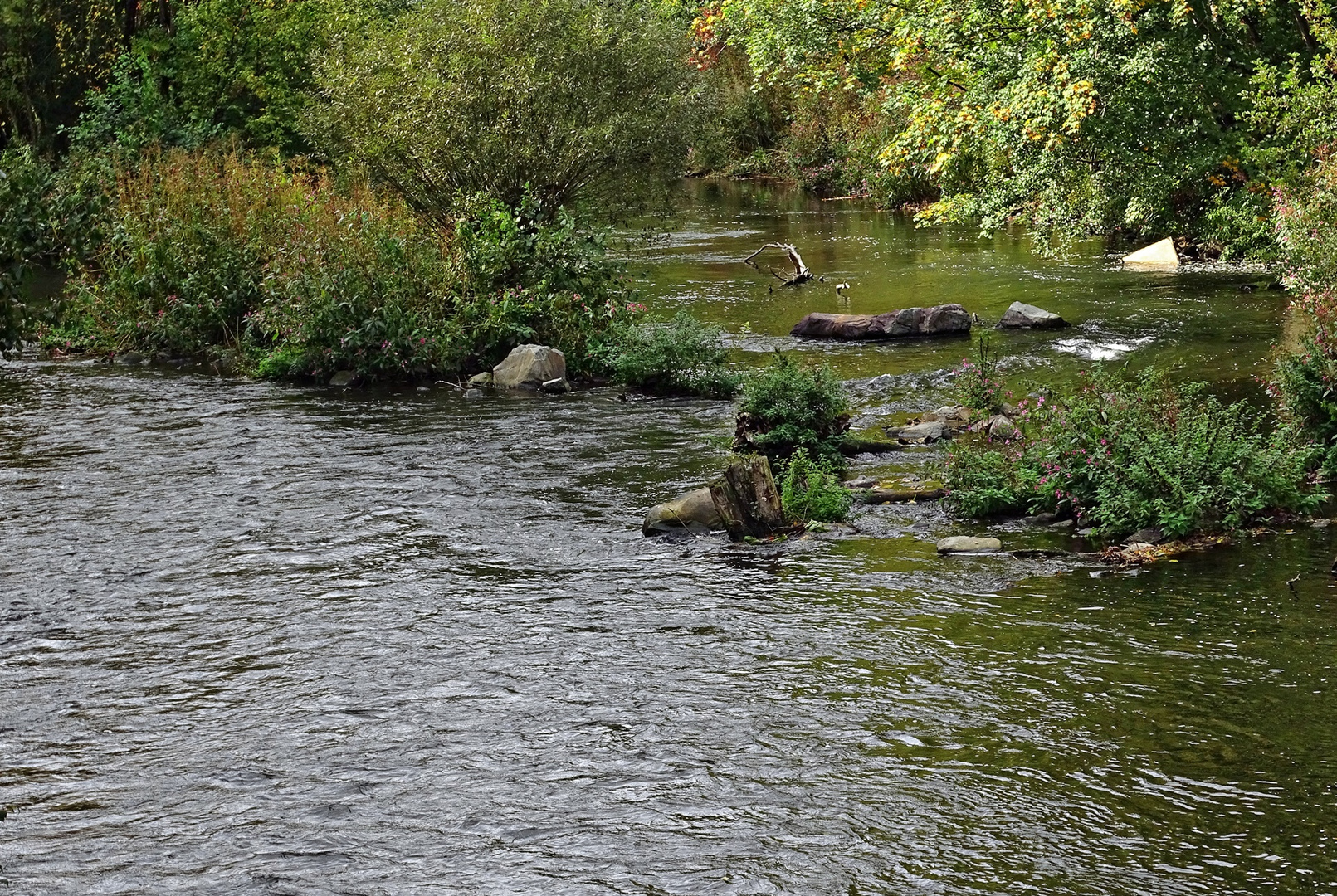 Blick auf die Wupper Foto & Bild | natur, landschaft, fluss Bilder auf ...
