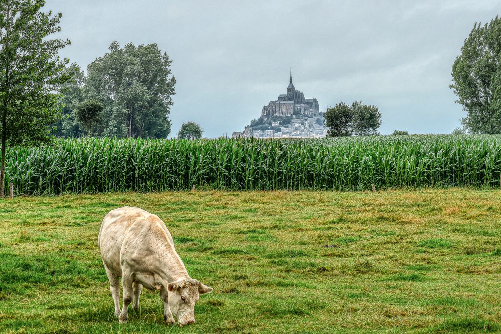 Blick auf Le Mont-Saint-Michel Foto & Bild | urlaub, france, wasser Bilder auf fotocommunity