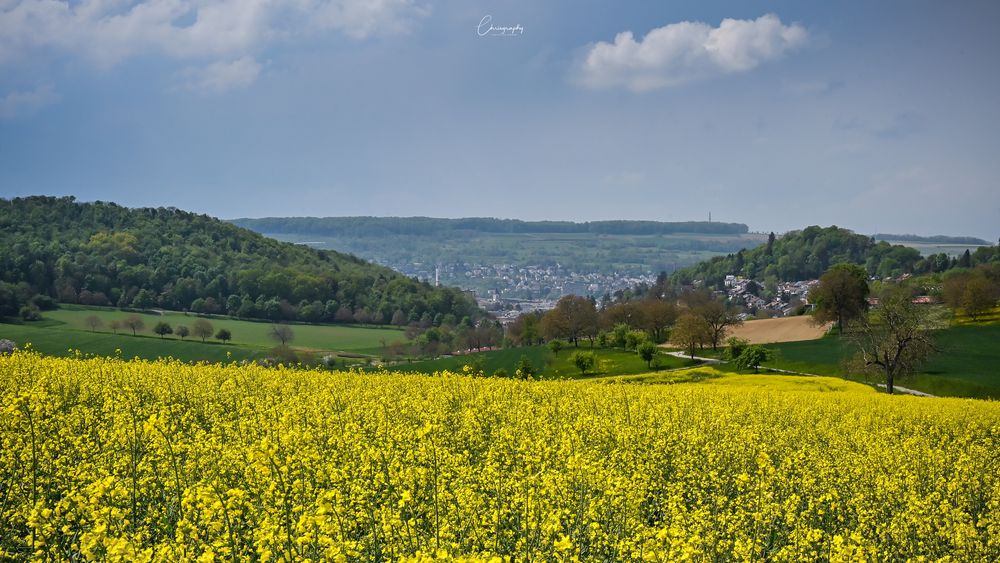 Blick auf Lörrach Foto & Bild | deutschland, europe, baden- württemberg ...