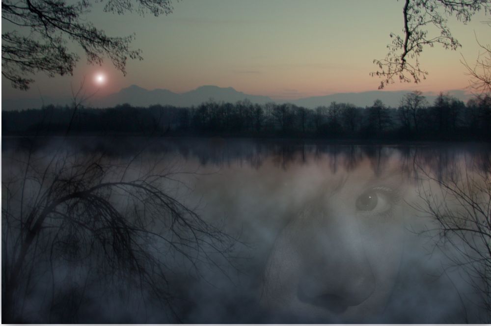 Blick aus dem See Foto & Bild | fotomontage, fantasy mystery, surreal Bilder auf fotocommunity