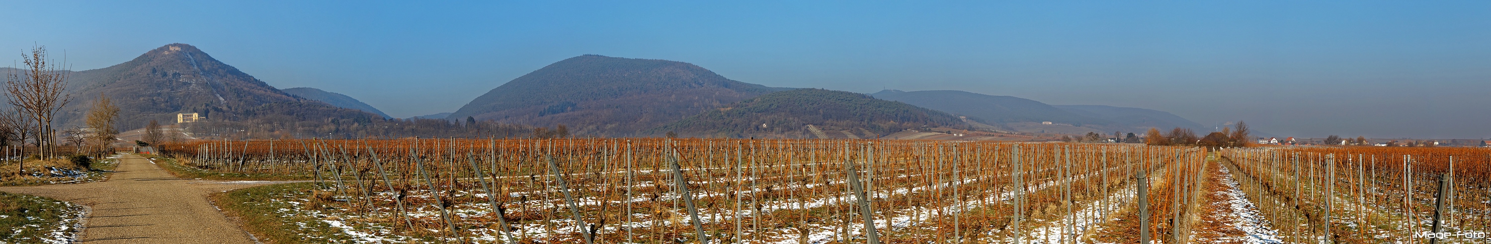 Blick der Haardt entlang Foto & Bild | deutschland, europe, rheinland ...