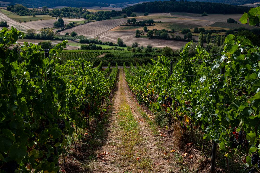 Blick in das Tal Foto & Bild | landschaft, kulturlandschaften ...