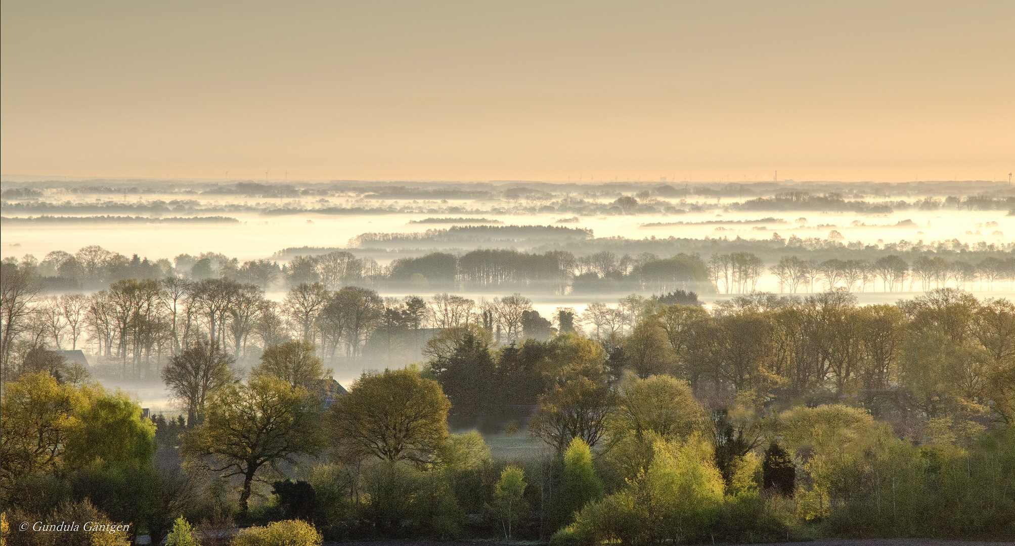 Blick in die Börde Lamstedt Foto & Bild | landschaft, frühnebel, elbe ...
