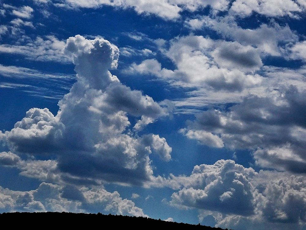Blick in die Wolken ... Foto & Bild | natur, himmel wolken Bilder auf fotocommunity