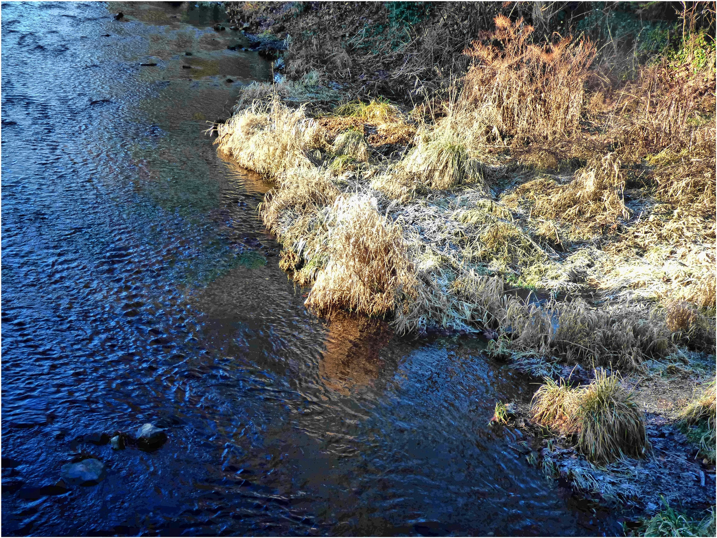 Blick in die Wupper Foto & Bild | landschaft, bach, fluss & see, flüsse ...
