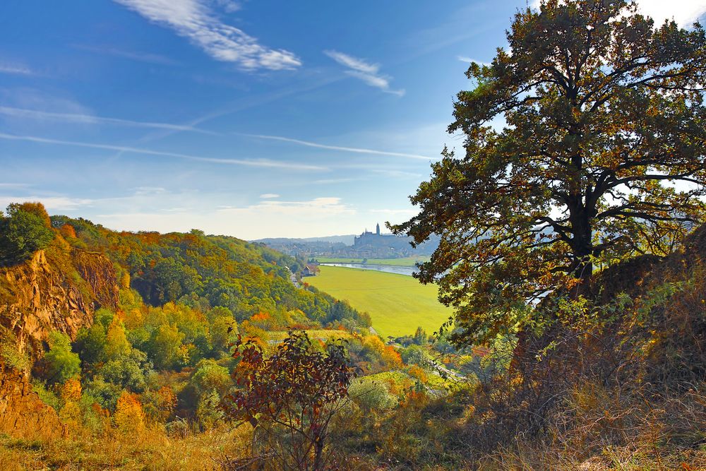 Blick ins Elbtal Foto & Bild | jahreszeiten, herbst, indian summer ...