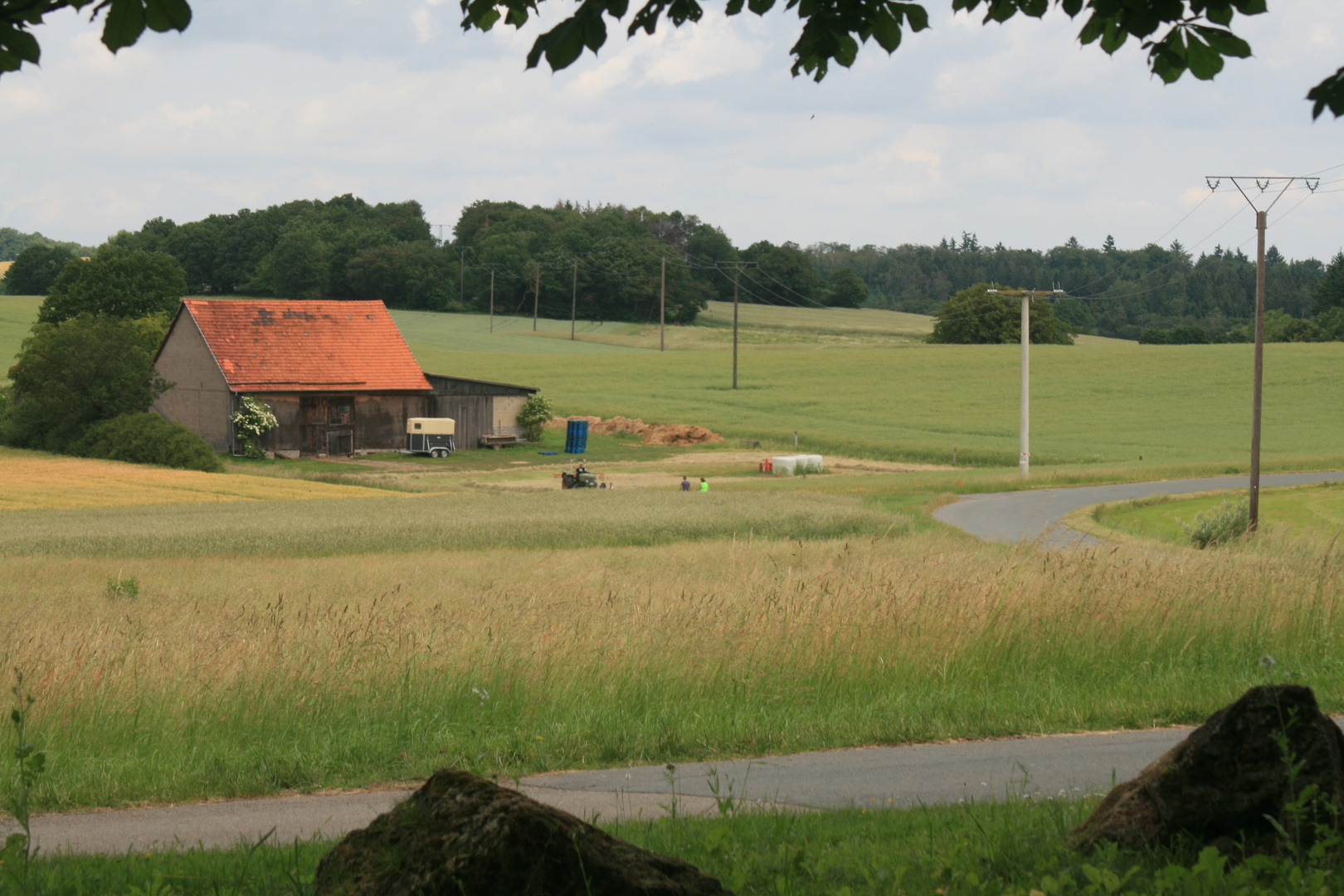 Blick ins freie Feld Foto & Bild | landschaft, Äcker, felder & wiesen ...