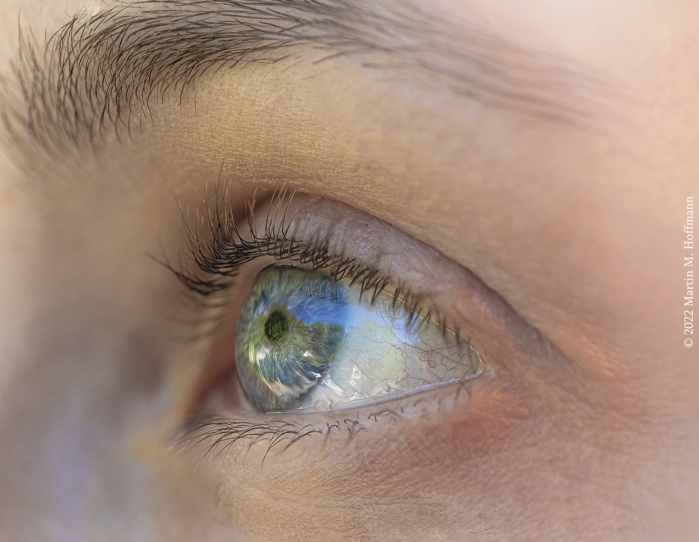 Blick ins Grüne Foto & Bild | nah- & makro, techniken, aufnahme-techniken Bilder auf fotocommunity