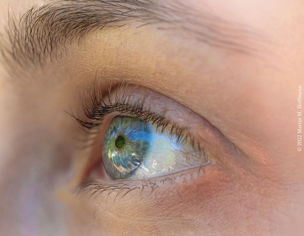 Blick ins Grüne Foto & Bild | nah- & makro, techniken, aufnahme-techniken Bilder auf fotocommunity