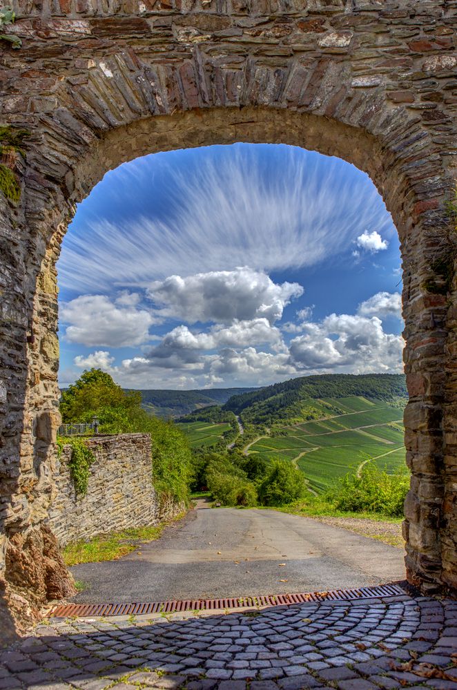 Blick ins Moseltal Foto & Bild | deutschland, europe, rheinland-pfalz Bilder auf fotocommunity