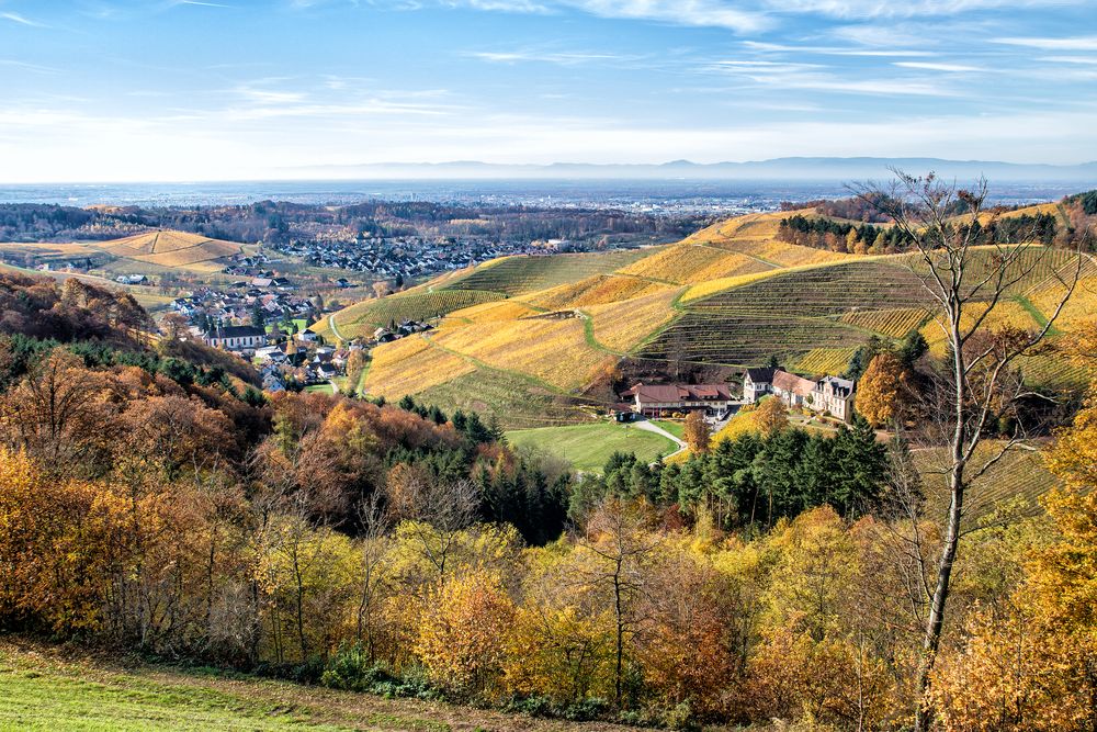 BLICK INS TAL. Foto & Bild | jahreszeiten, herbst, landschaft. Bilder auf fotocommunity