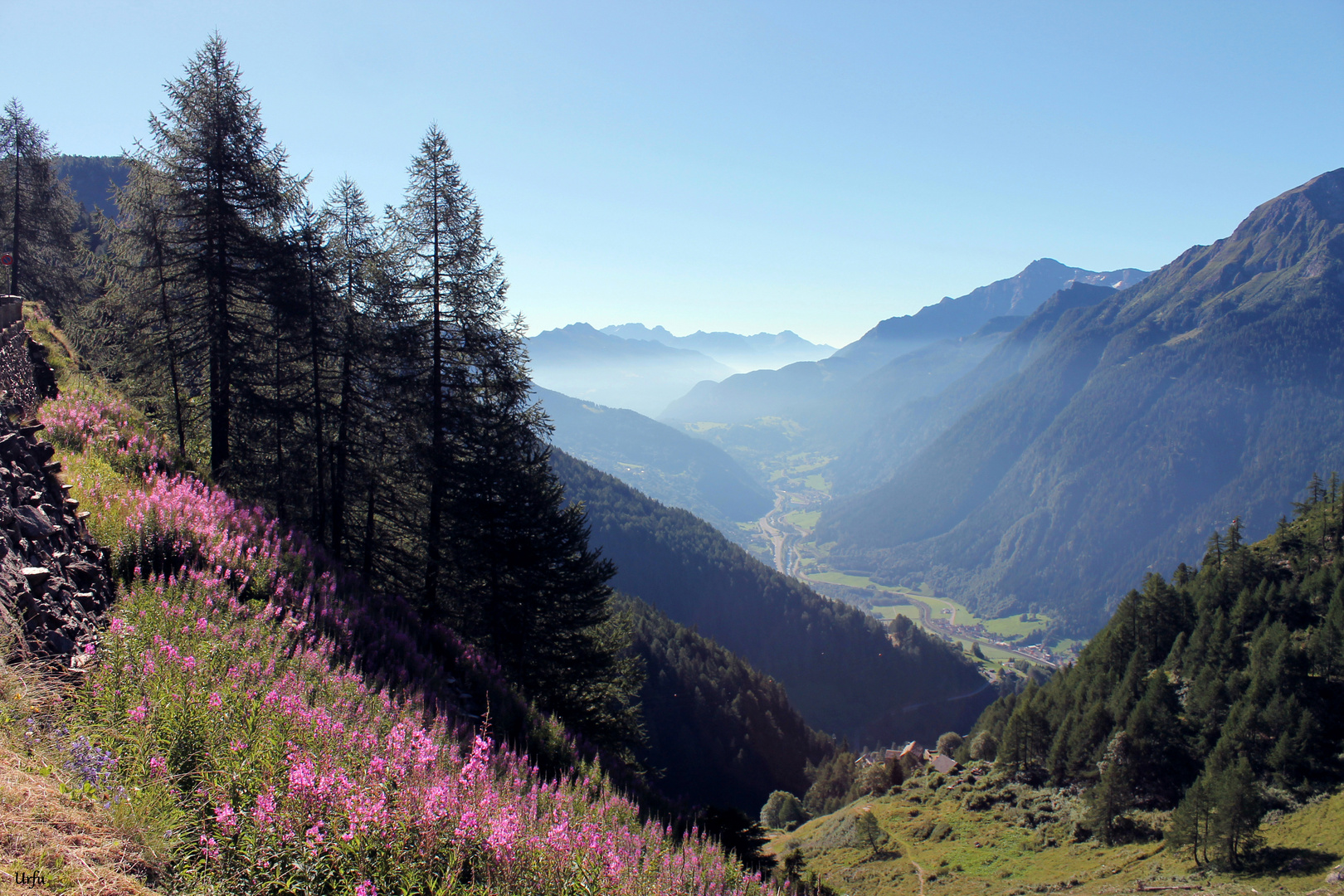 Blick ins Tal (820) Foto & Bild | world, schweiz, blumen Bilder auf fotocommunity