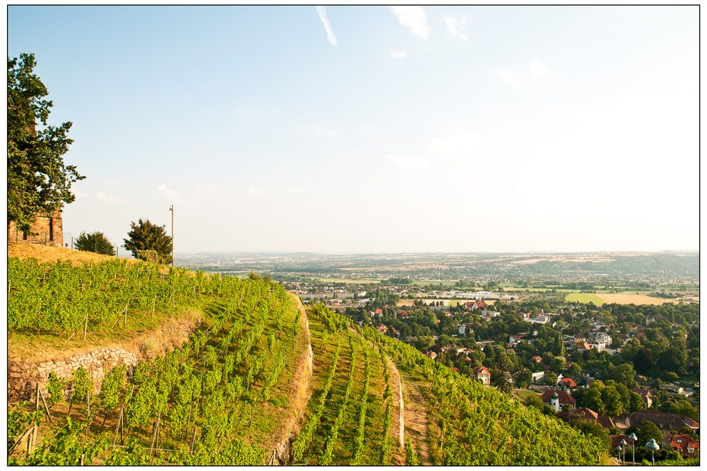 Blick über das Elbtal Foto & Bild | deutschland, europe, sachsen Bilder ...