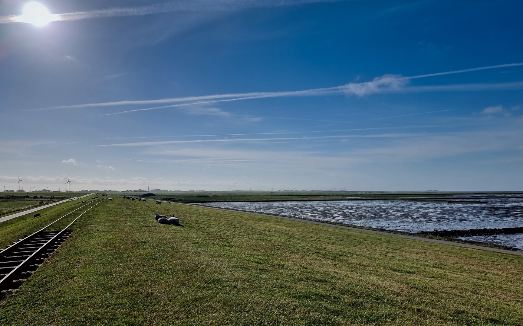 Blick über den Deich Foto & Bild | world, sommer, wiese Bilder auf ...