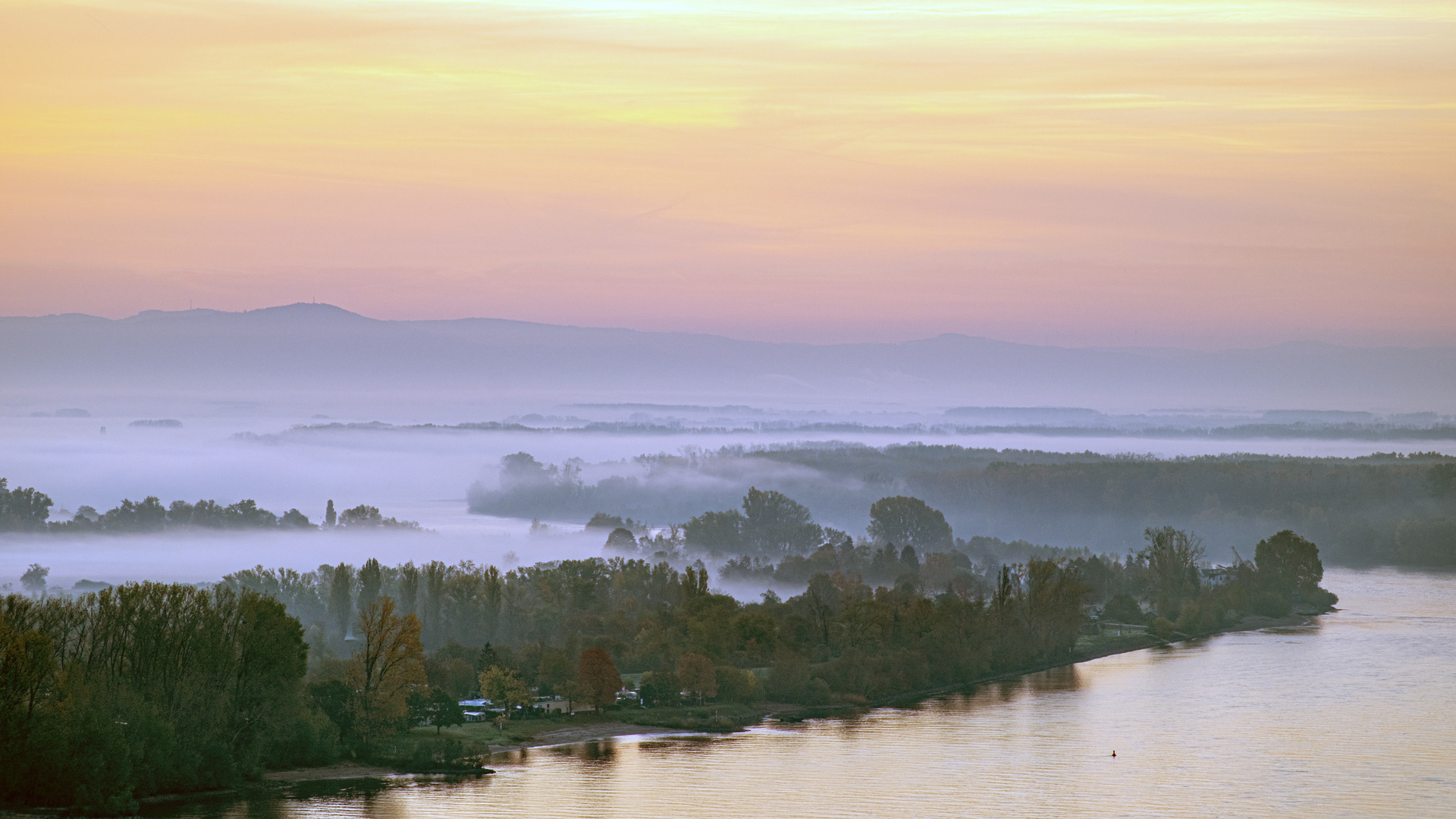 Blick über den Rhein Foto & Bild | pflanzen, pilze & flechten ...