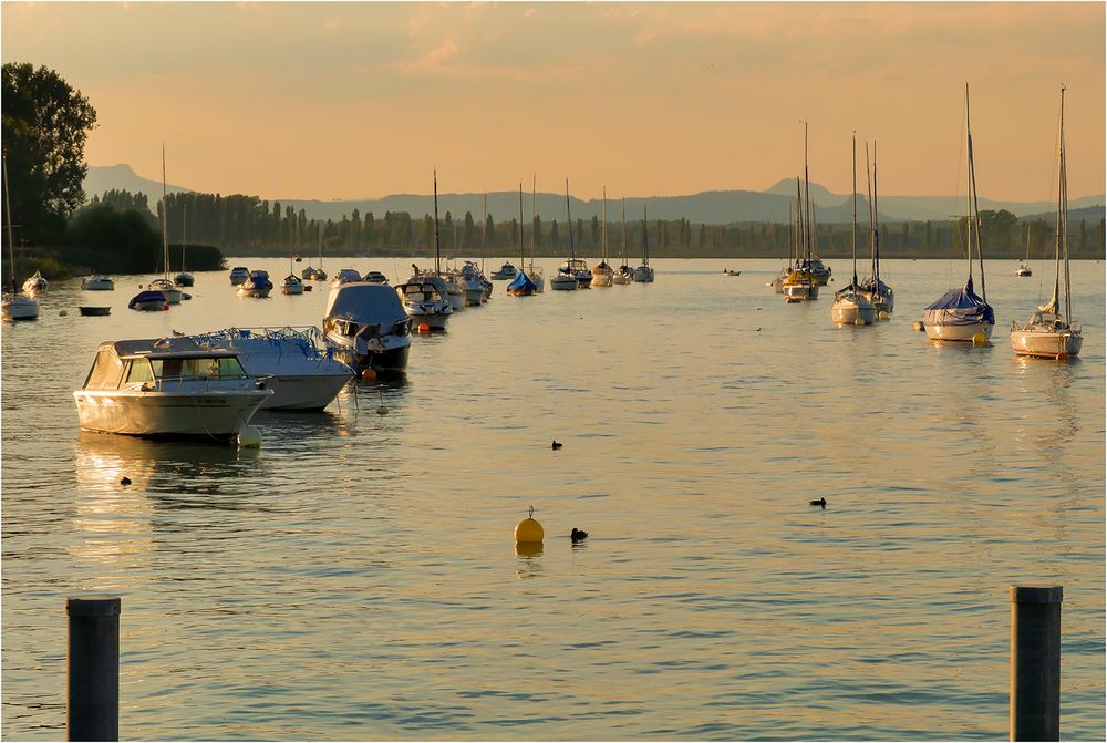 Blick über den See, Erinnerung an den Sommer Foto & Bild | world ...