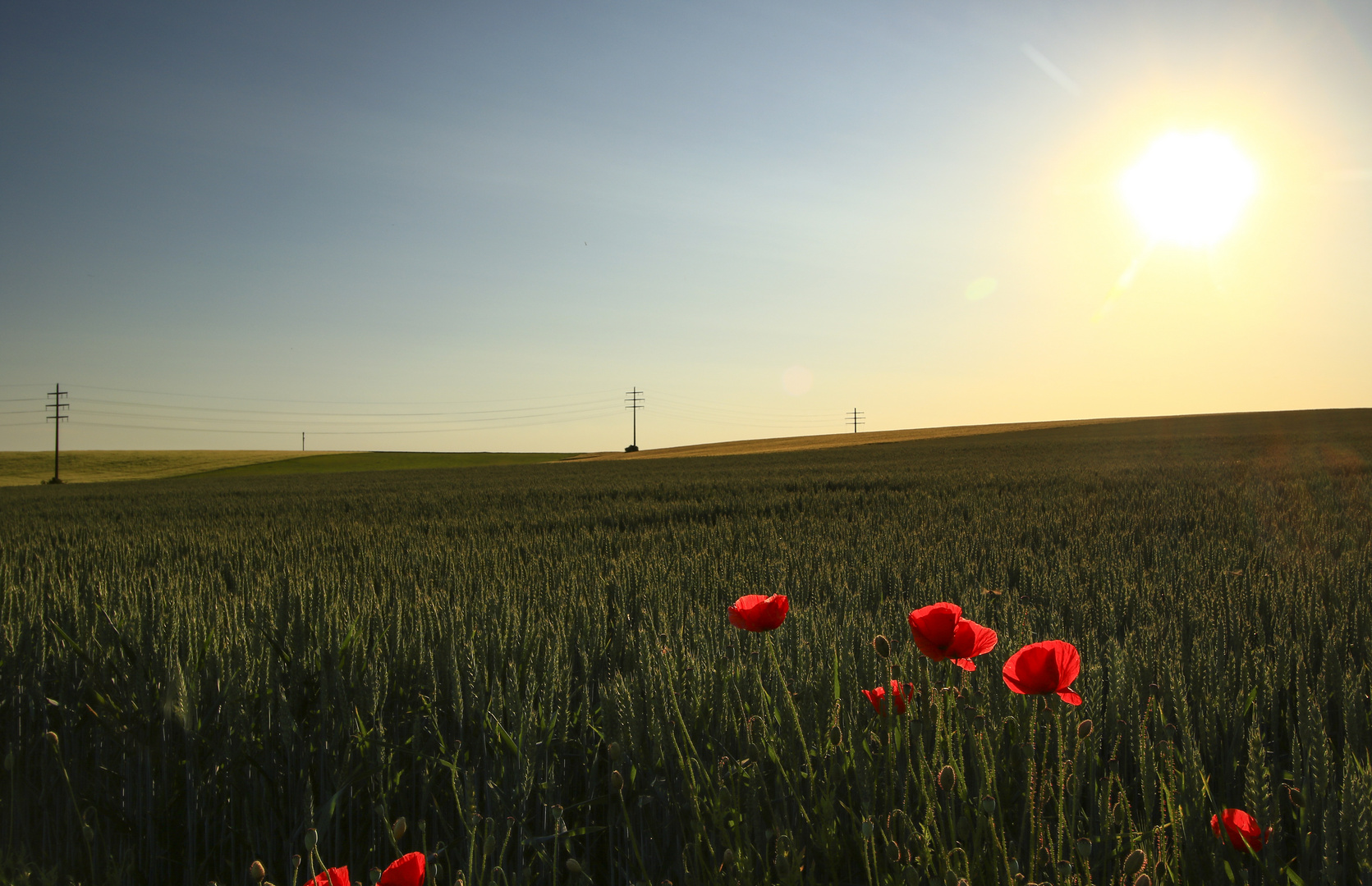 Blick über die Felder Foto & Bild | landschaft, kulturlandschaften ...