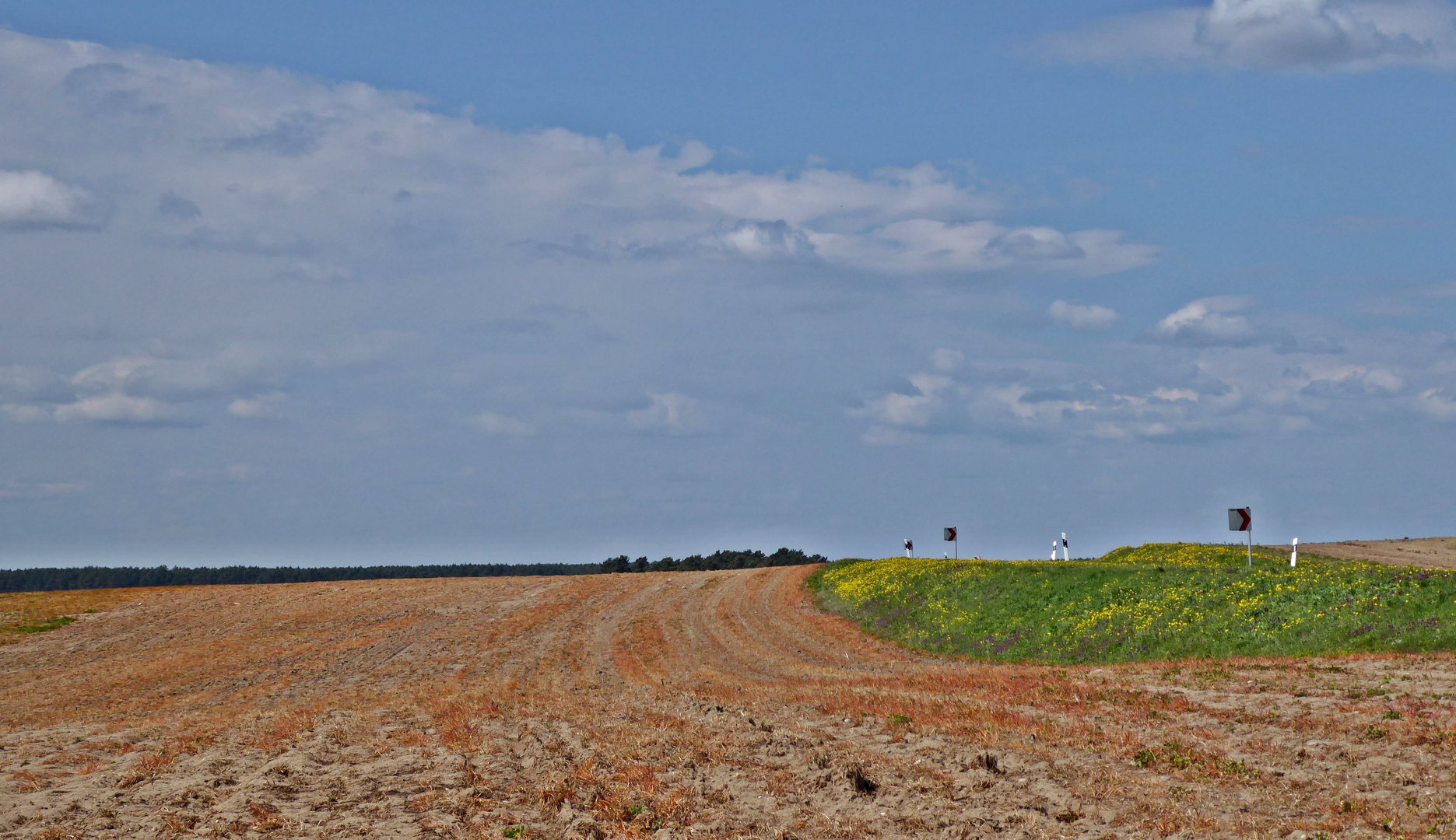 Blick über die Felder und Straßenränder Foto & Bild | landschaft ...