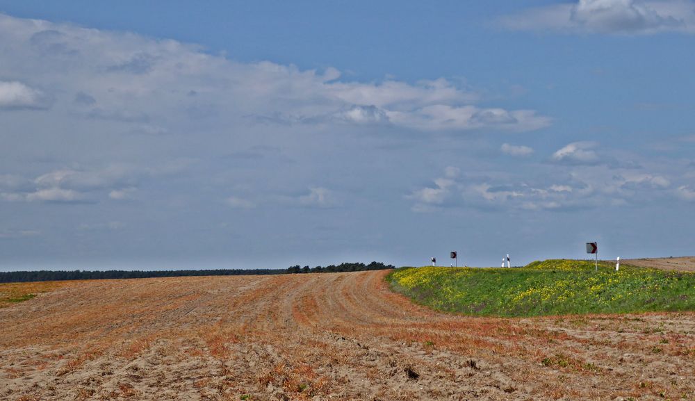 Blick über die Felder und Straßenränder Foto & Bild | landschaft, himmel, Äcker, felder & wiesen ...