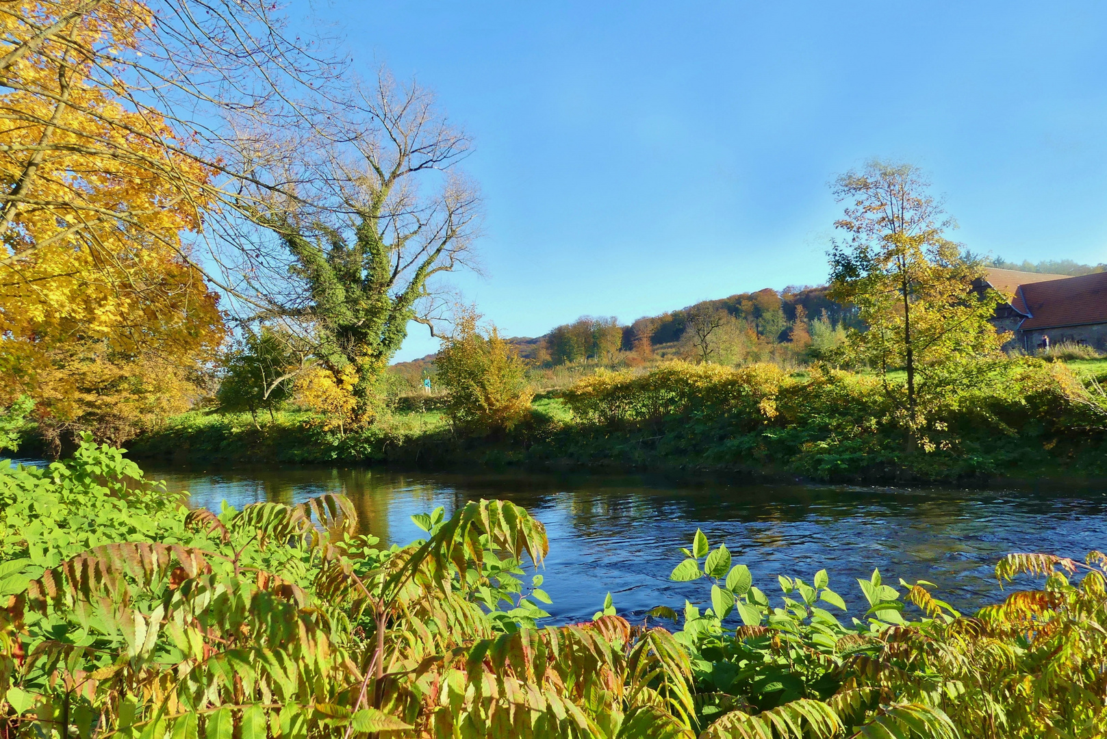 Blick über die Wupper ... Foto & Bild | natur, herbst, landschaft ...