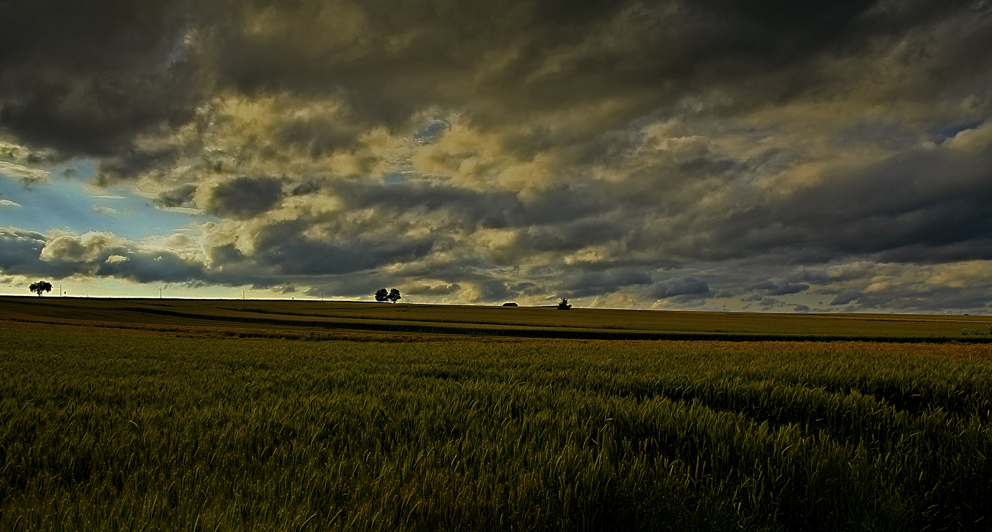 Blick über Felder Foto & Bild | landschaft, Äcker, felder & wiesen ...